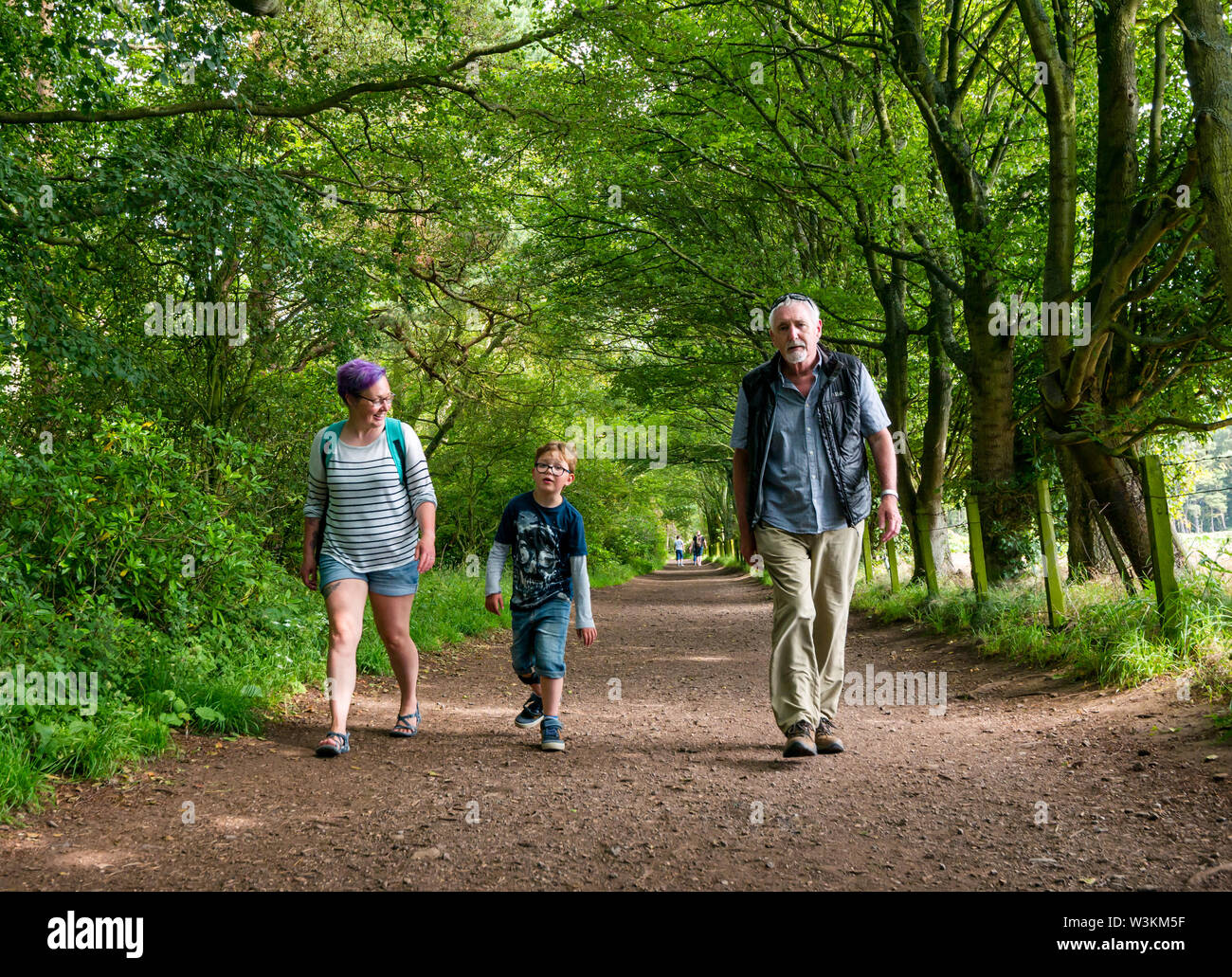 Three generation family walking with grandfather, grandson, father and ...