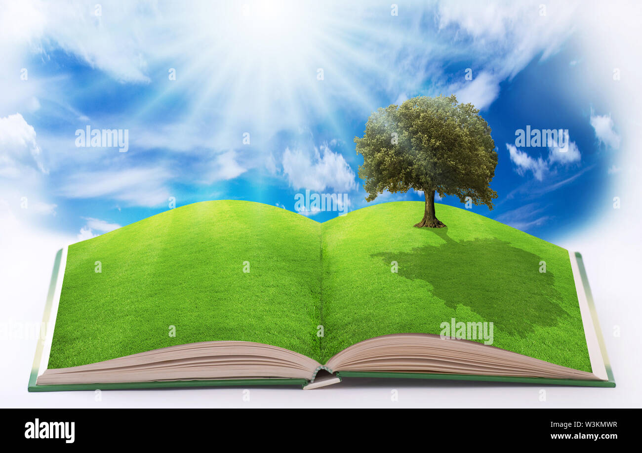 open book with pages illustrated by a green nature and a serene and ...