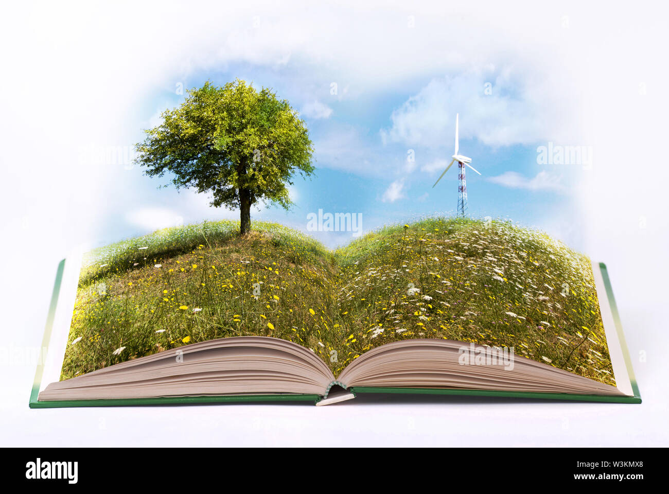 open book with pages illustrated by a green nature and a serene and ...