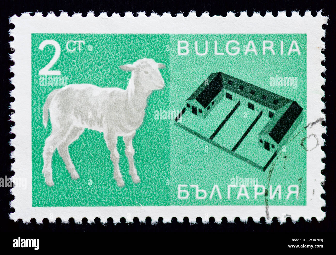 Bulgaria Postage Stamp - Sheep Stock Photo - Alamy