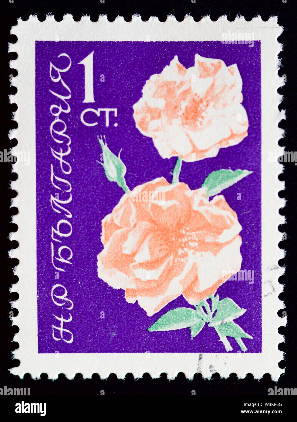 Bulgaria Postage Stamp - Roses Stock Photo - Alamy