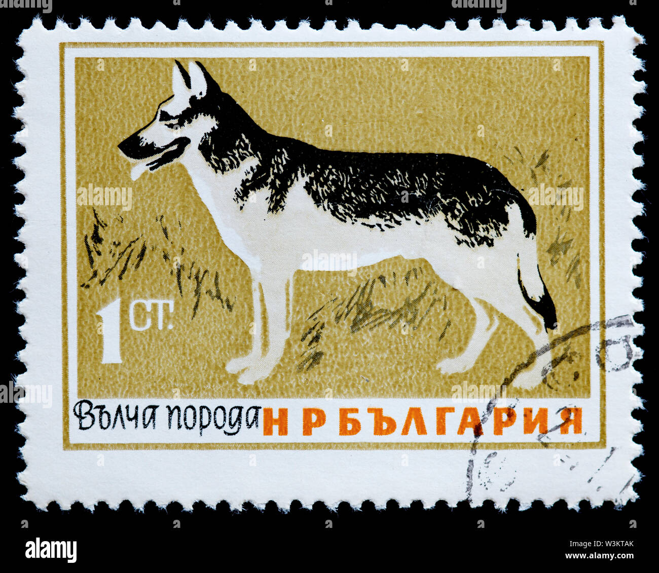 Bulgaria postage stamp hi-res stock photography and images - Alamy