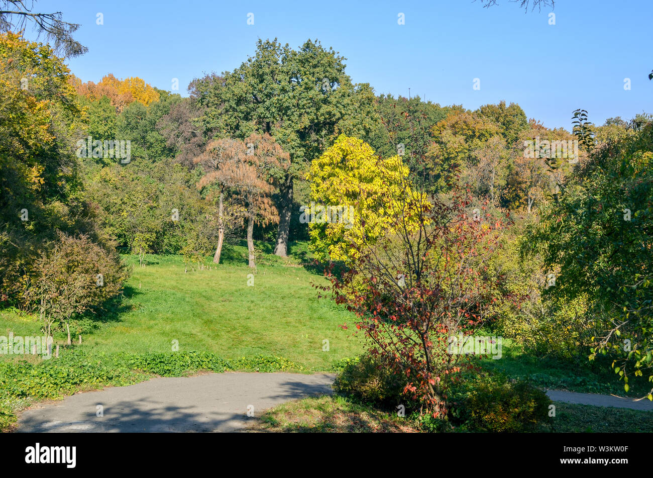Golden autumn in the park. Yellow and red leaves on the trees, Kyiv ...