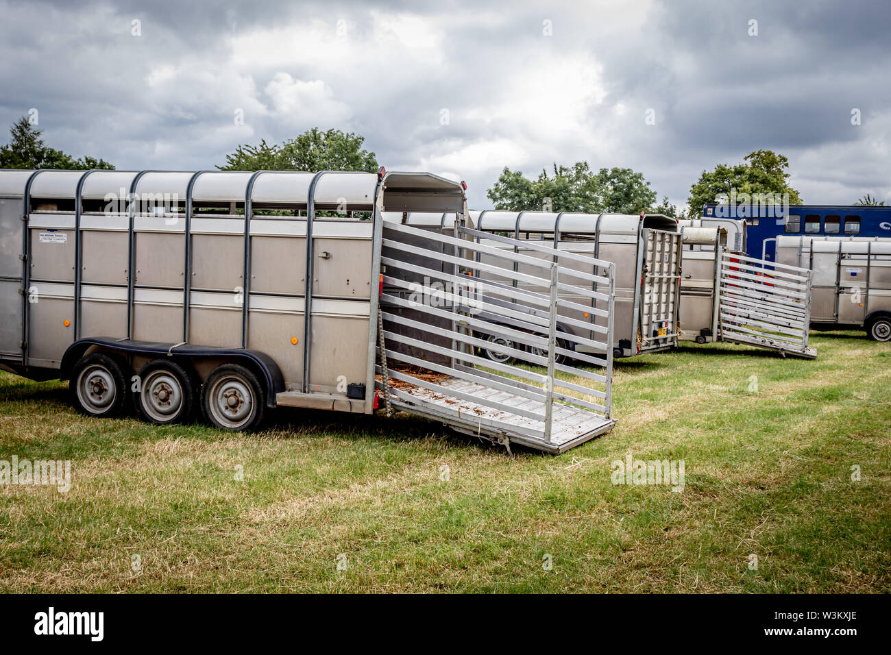 Six Wheel Livestock Trailer Suitable for Pigs, Sheep and Goats at a ...