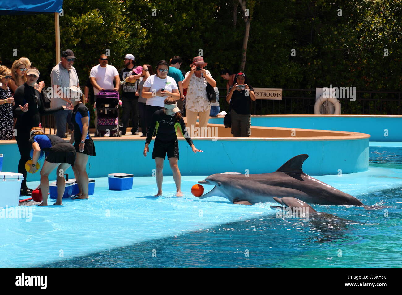 Inside Siegfried & Roy's Secret Garden at the Mirage, where dolphins ...