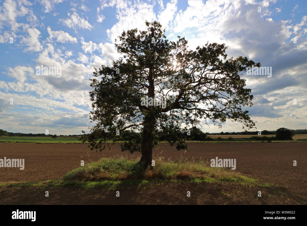 Fallow rotation hi-res stock photography and images - Alamy