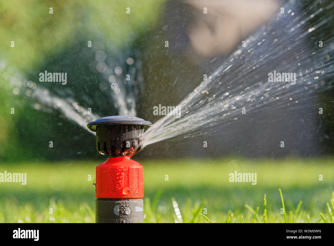 Pop Up Sprinkler High Resolution Stock Photography and Images - Alamy