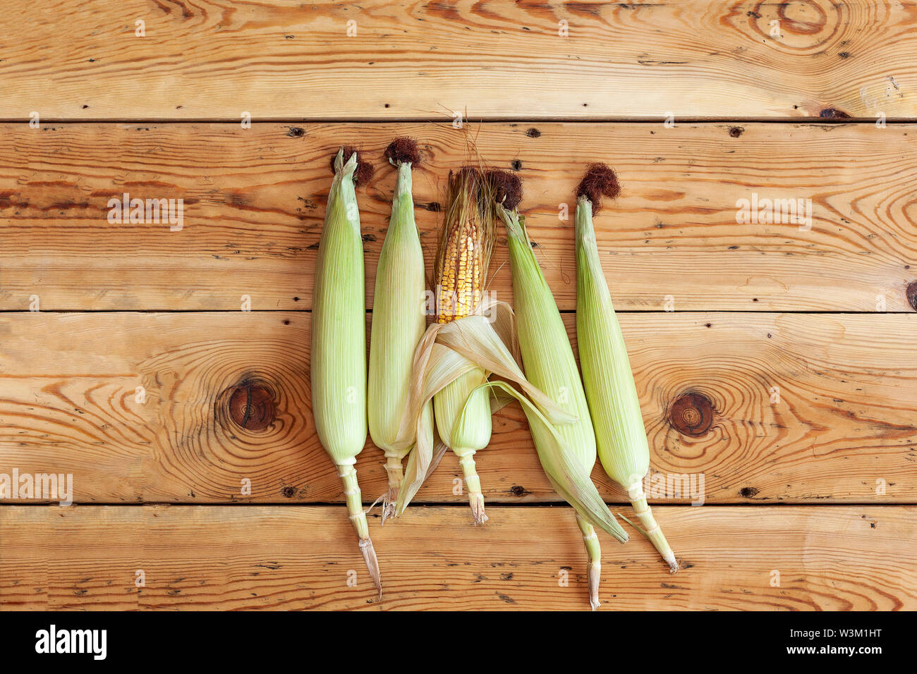 Fresh raw corn cobs on wooden background. Raw corn with skin. Sweet ...