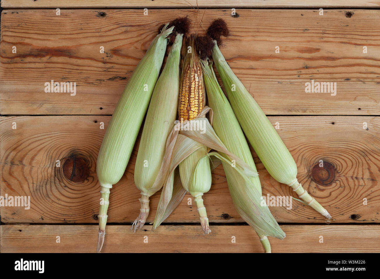 Fresh raw corn cobs on wooden background. Raw corn with skin. Sweet ...