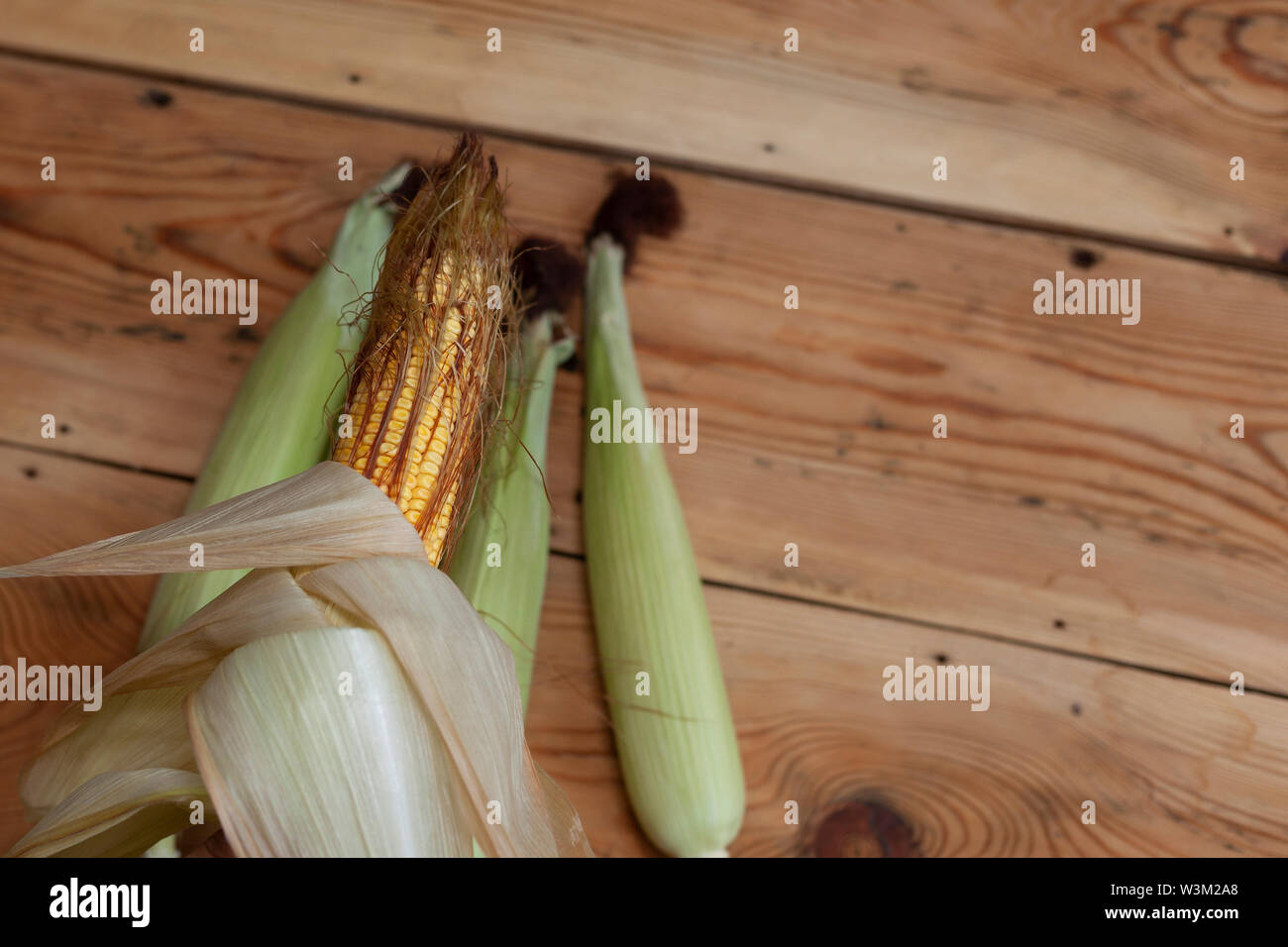 Fresh raw corn cobs on wooden background. Raw corn with skin. Sweet ...