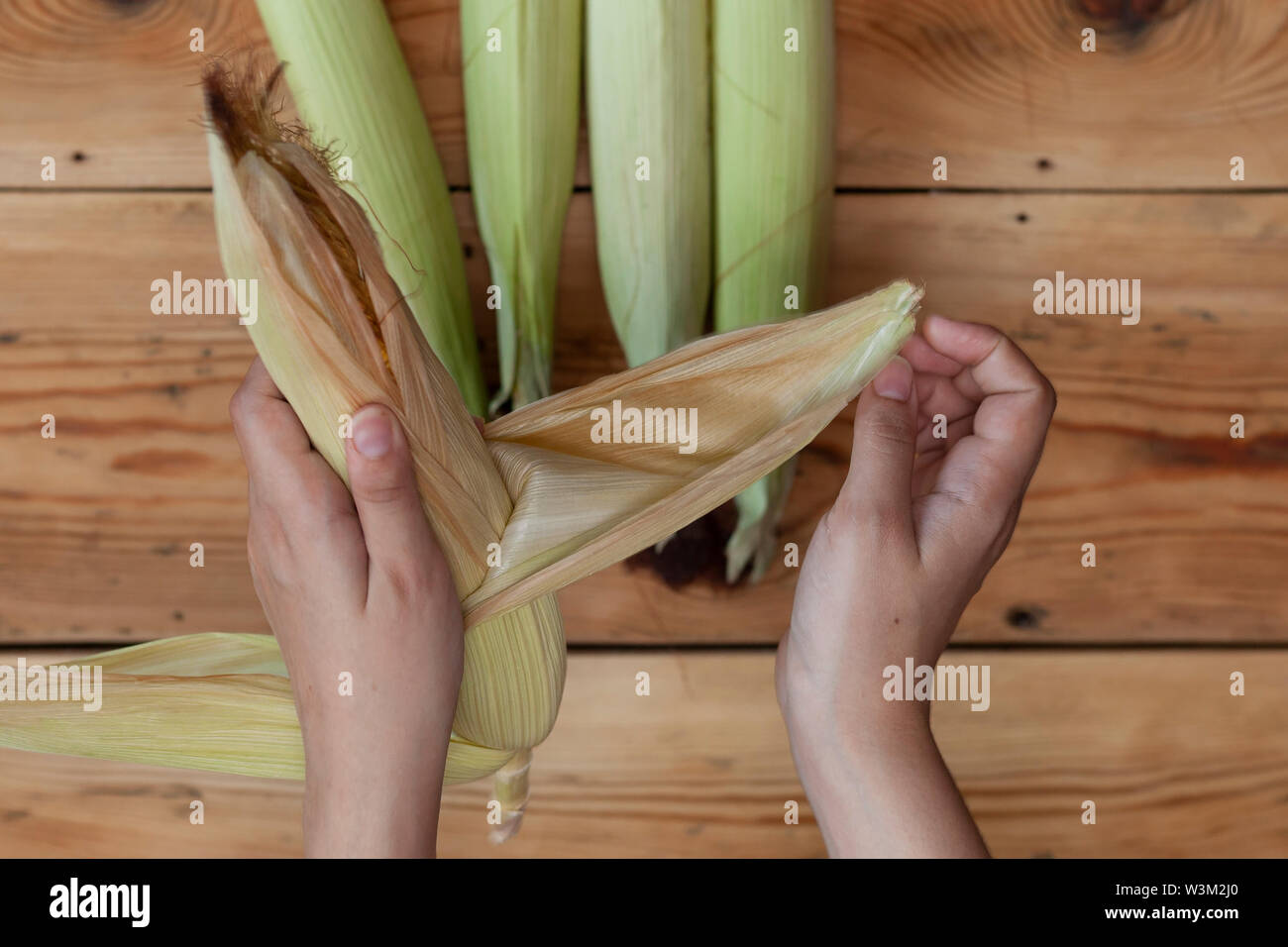 Young female cleaning freshly picked raw corns from cobs on wooden ...