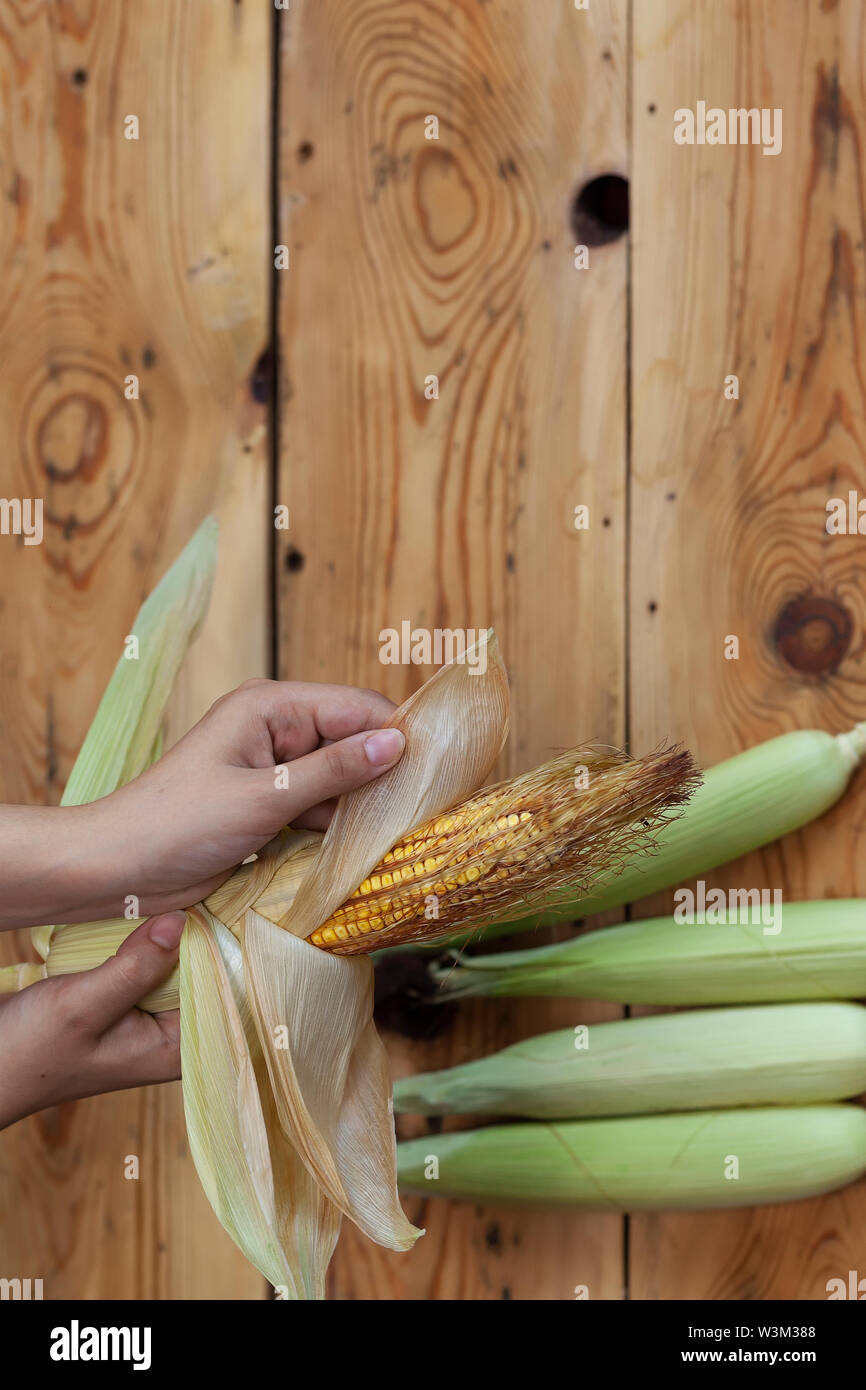 Young female cleaning freshly picked raw corns from cobs on wooden ...
