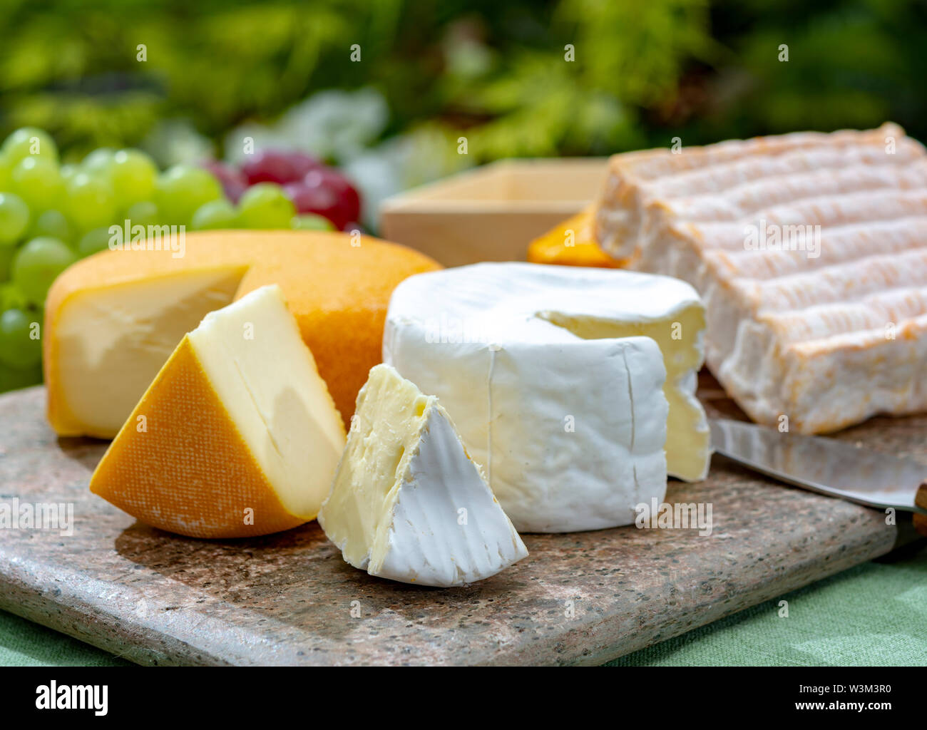 Belgian cheeses collection, yellow abbey beer cheeses and brie with ...