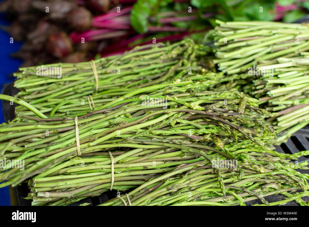 Natural healthy food from forest and mountains in Greece green wild ...