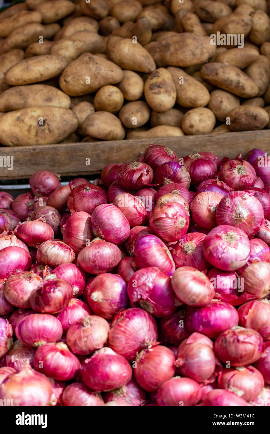 Young fresh red onion on market, new harvest, close up, food background ...