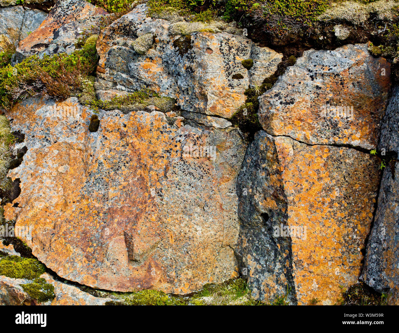 Geology of whale island sound hi-res stock photography and images - Alamy