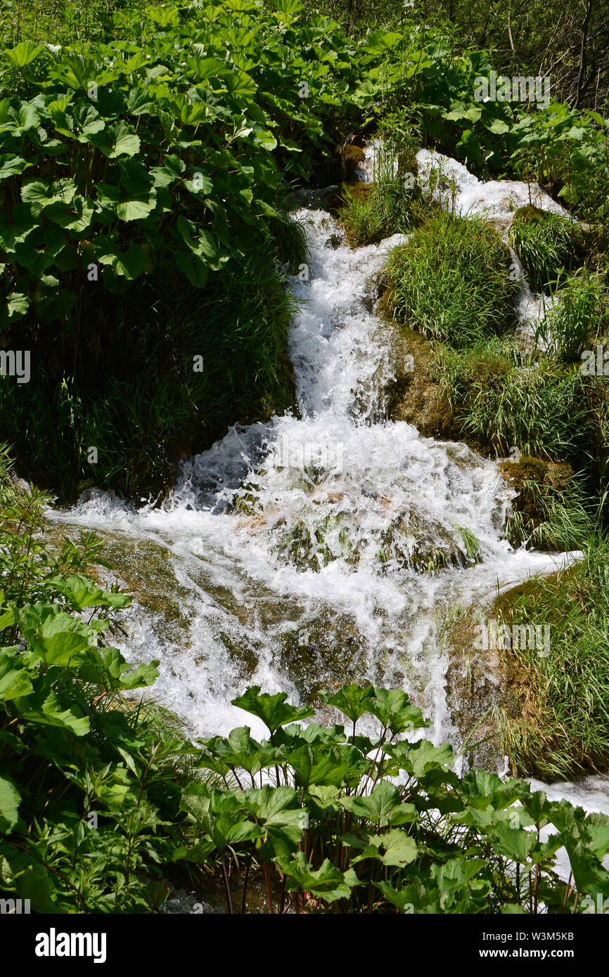 Waterfall, Plitvice Lakes National Park, Croatia, Europe, UNESCO World ...