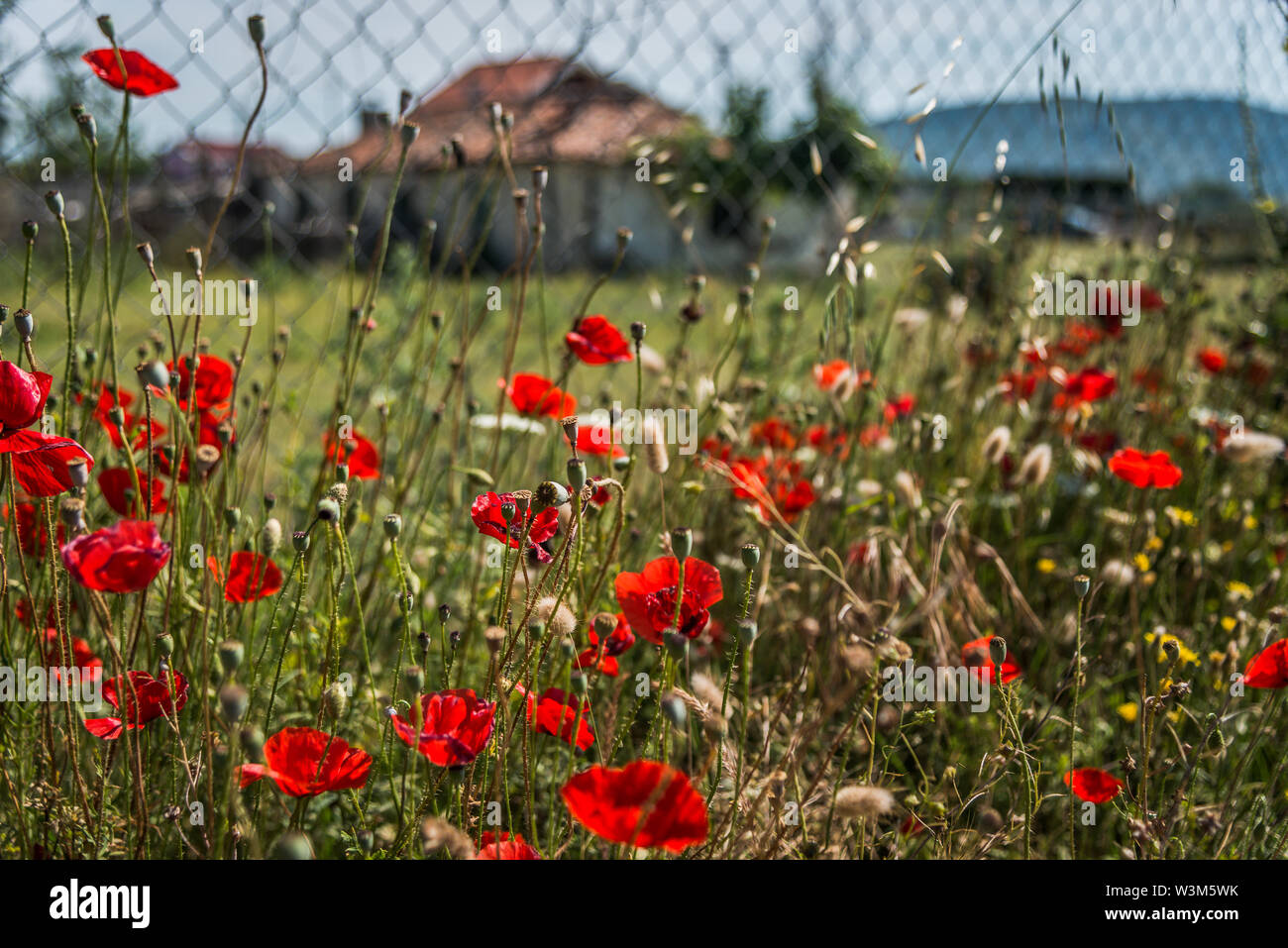 Velipoja hi-res stock photography and images - Alamy