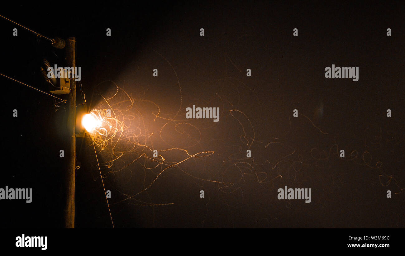 insects flying in front of street light, night scene in Margaret River ...