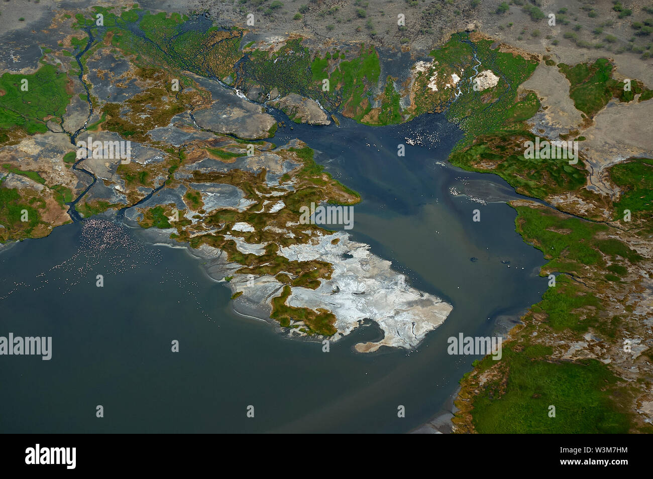Lake Natron Environment High Resolution Stock Photography and Images ...