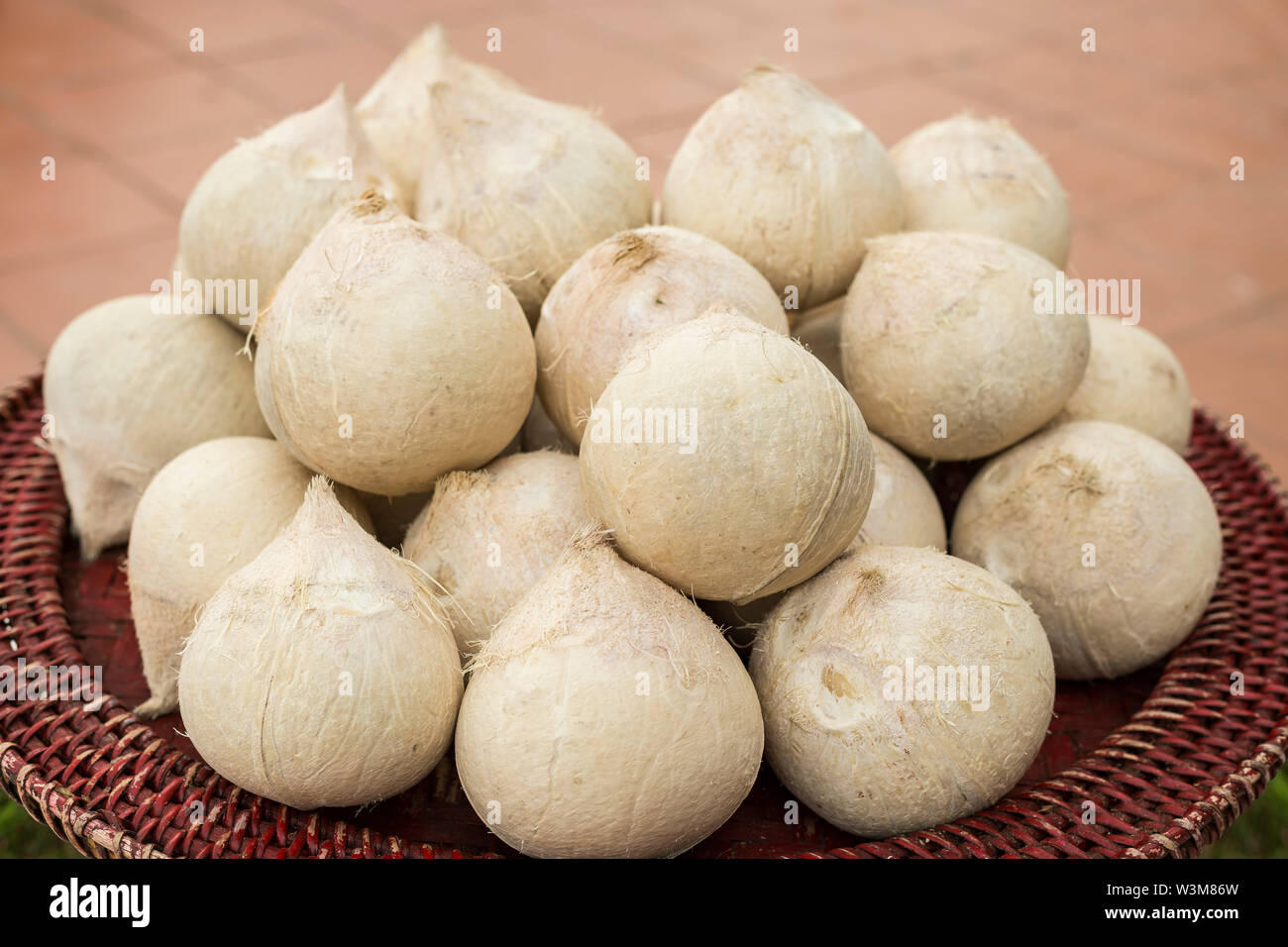 Pile of coconuts hi-res stock photography and images - Alamy