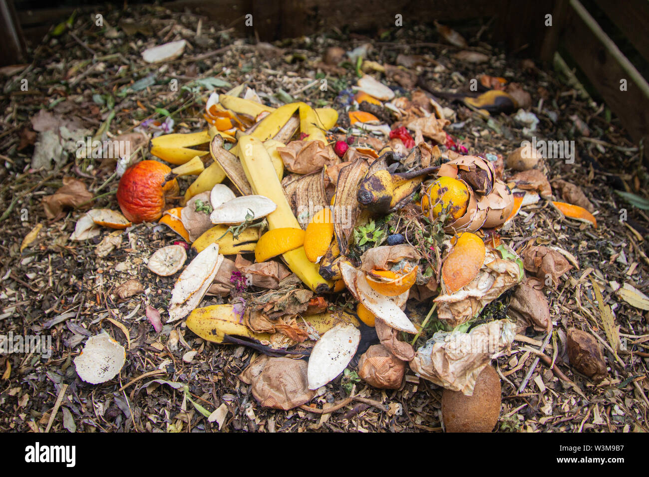Compost bin - before and after - fresh food waste placed on top of ...