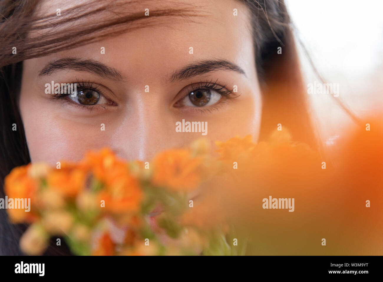34 flowers hi-res stock photography and images - Alamy