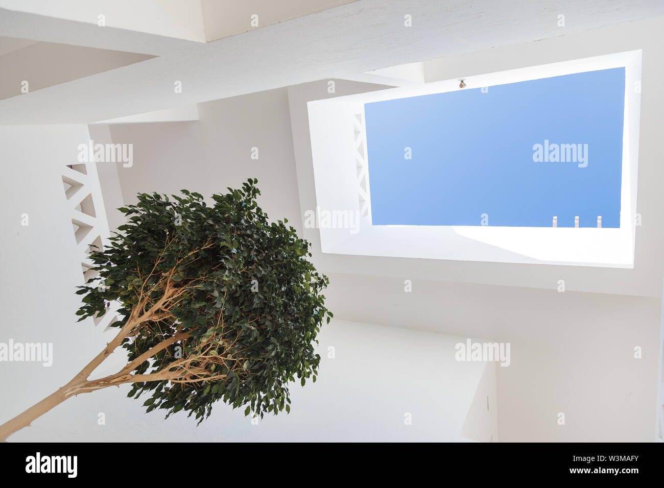 Courtyard with palm tree hi-res stock photography and images - Alamy