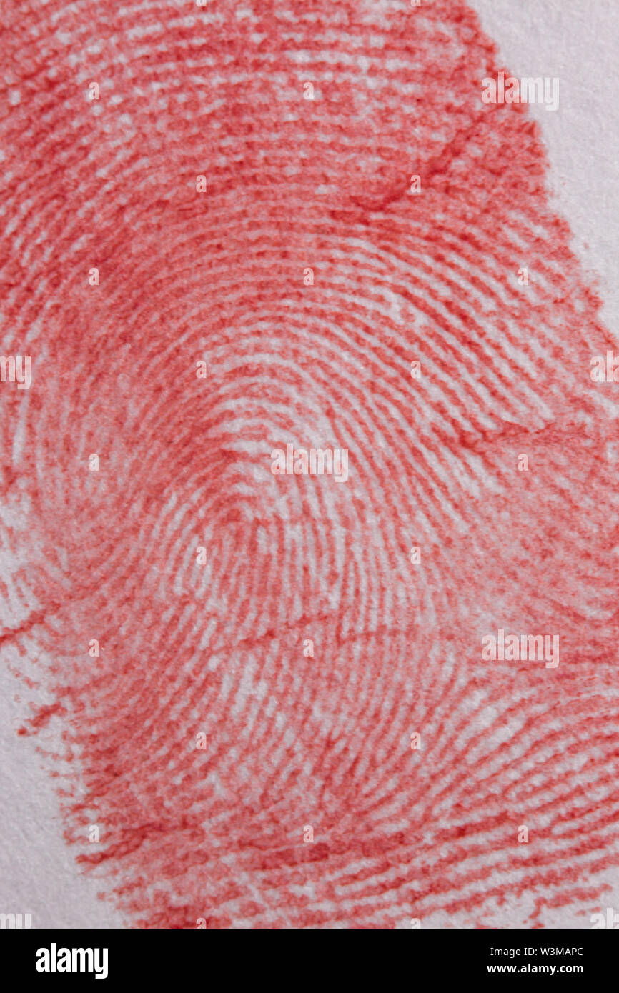 Detective fingerprint hi-res stock photography and images - Alamy