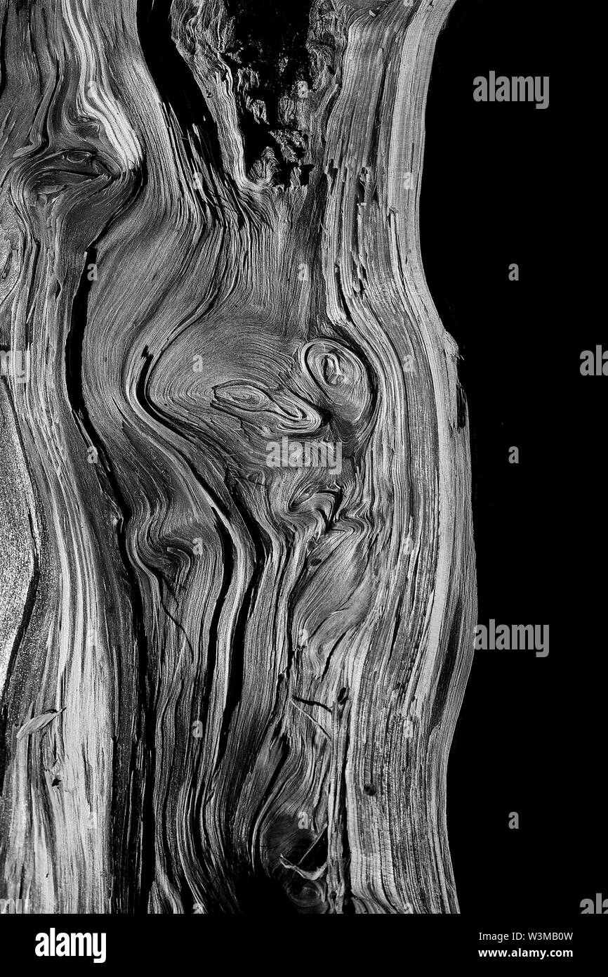 Grain texture artwork Black and White Stock Photos & Images - Alamy