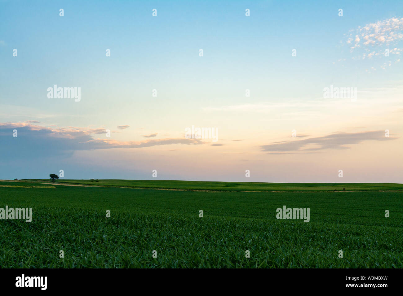 Sunset in rural Illinois on a beautiful Summer evening. LaSalle County ...