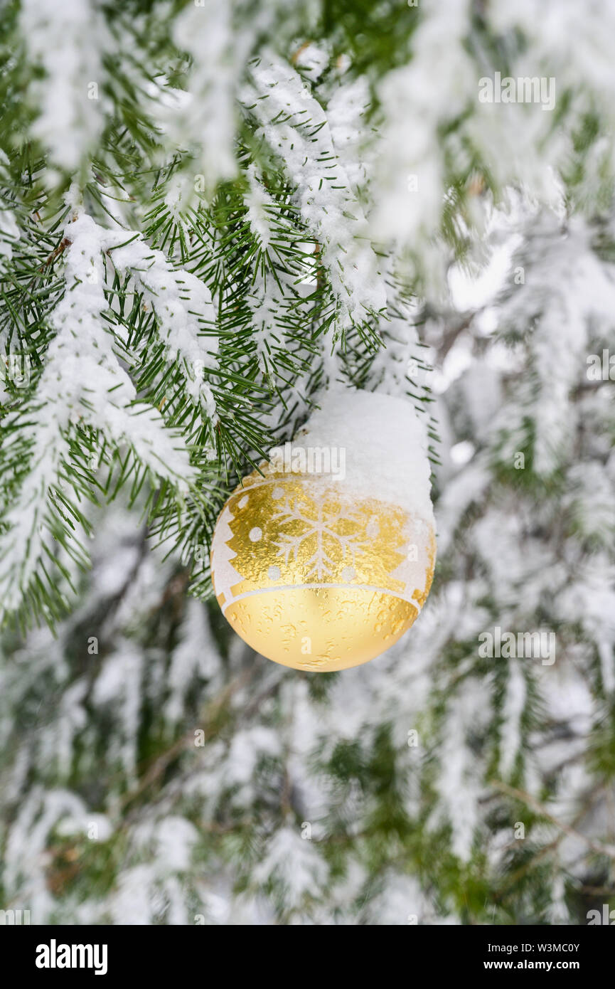 Christmas decorations and snow on pine tree Stock Photo - Alamy