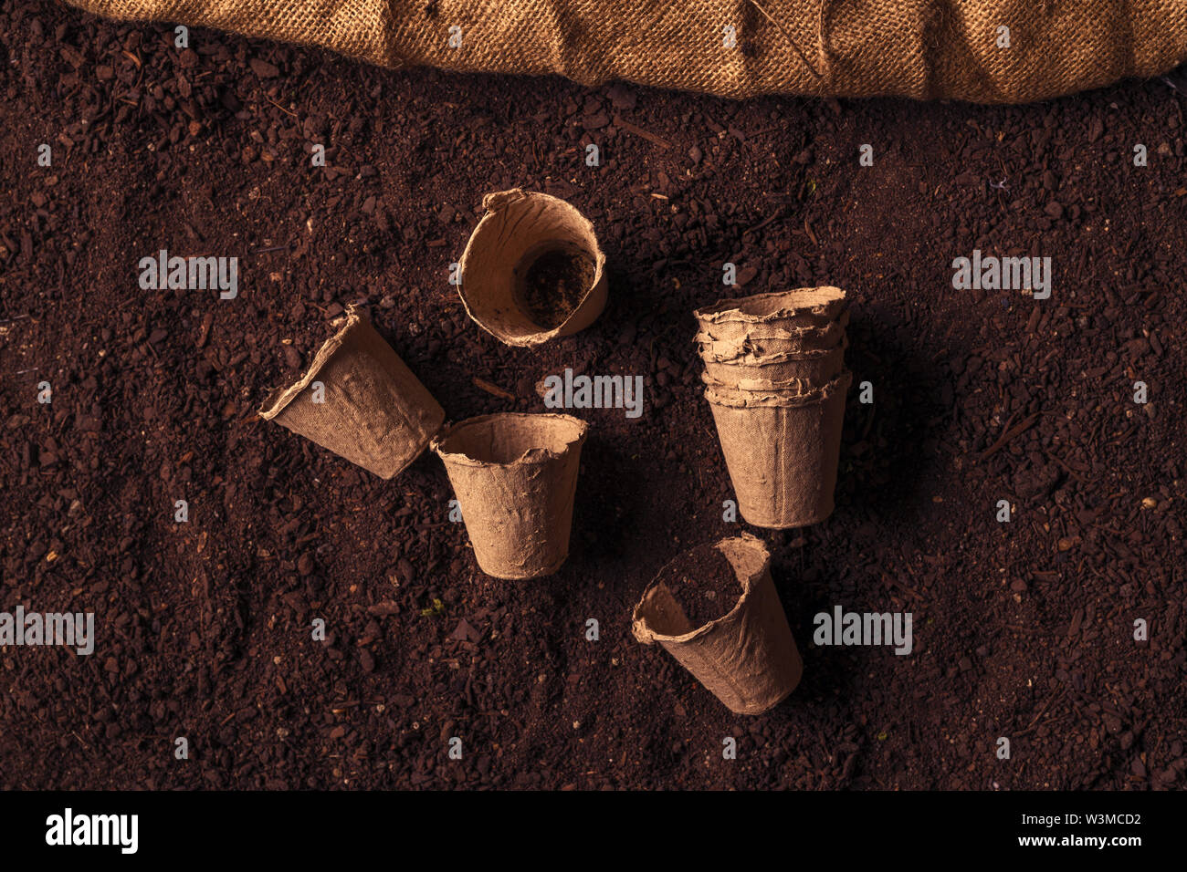 Biodegradable peat pots top view placed on fertile garden humus compost ...