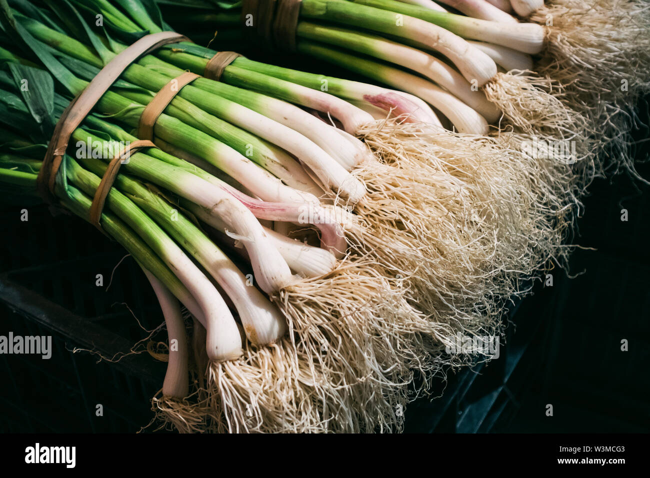 Bundles Of Spring Onion High Resolution Stock Photography and Images ...