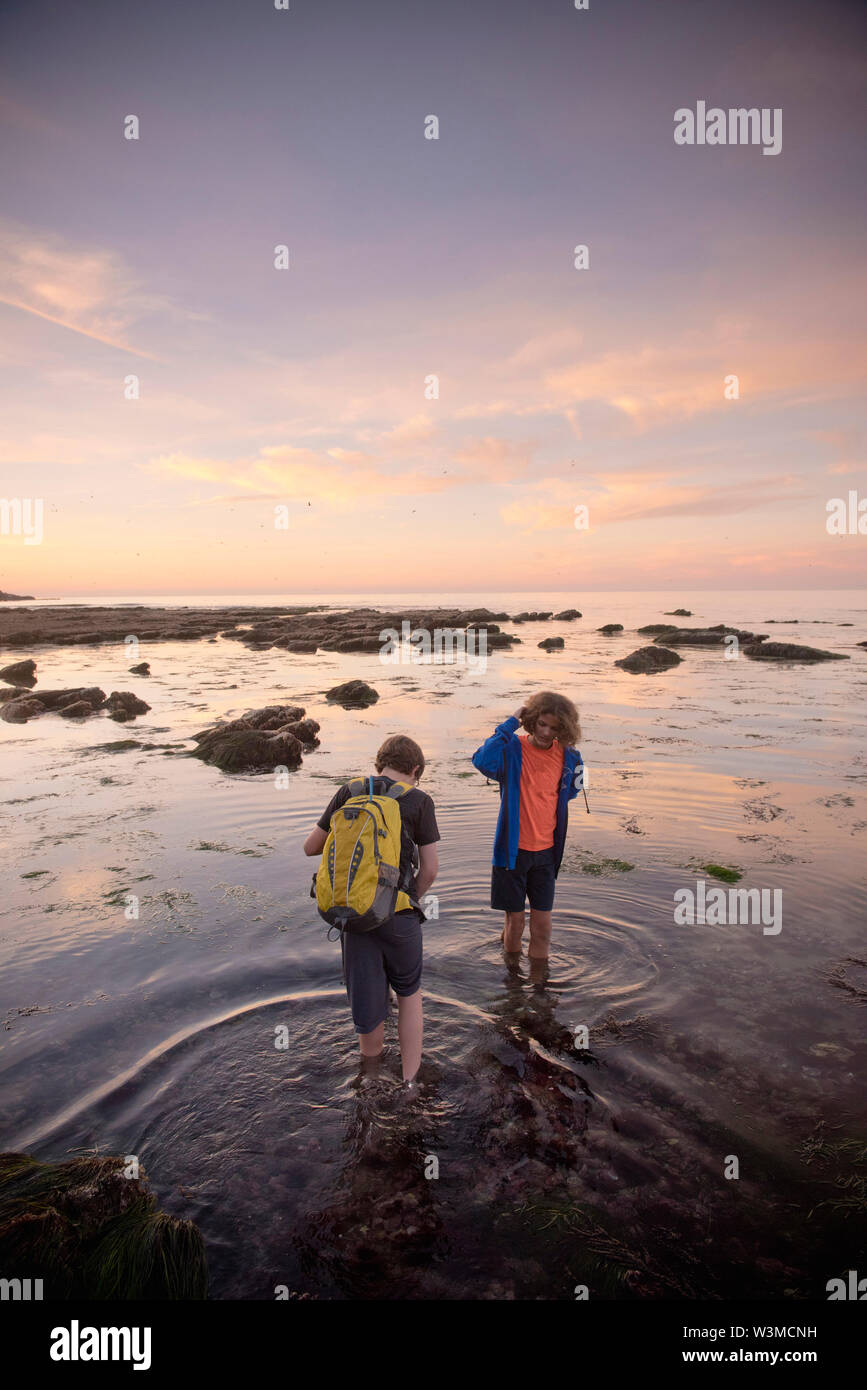 Person exploring tide pool hi-res stock photography and images - Alamy
