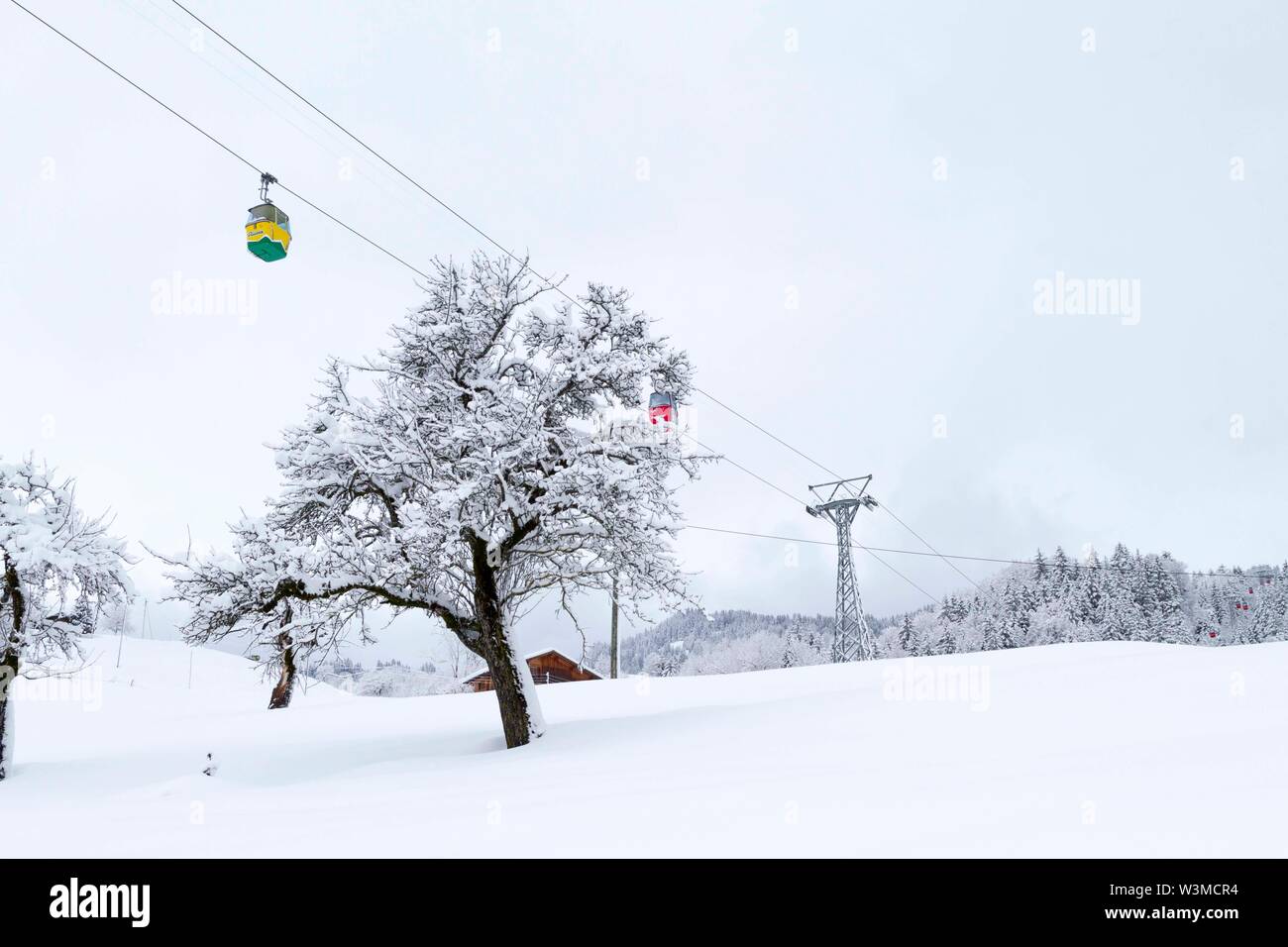 Cable car above snow landscape with trees Stock Photo - Alamy