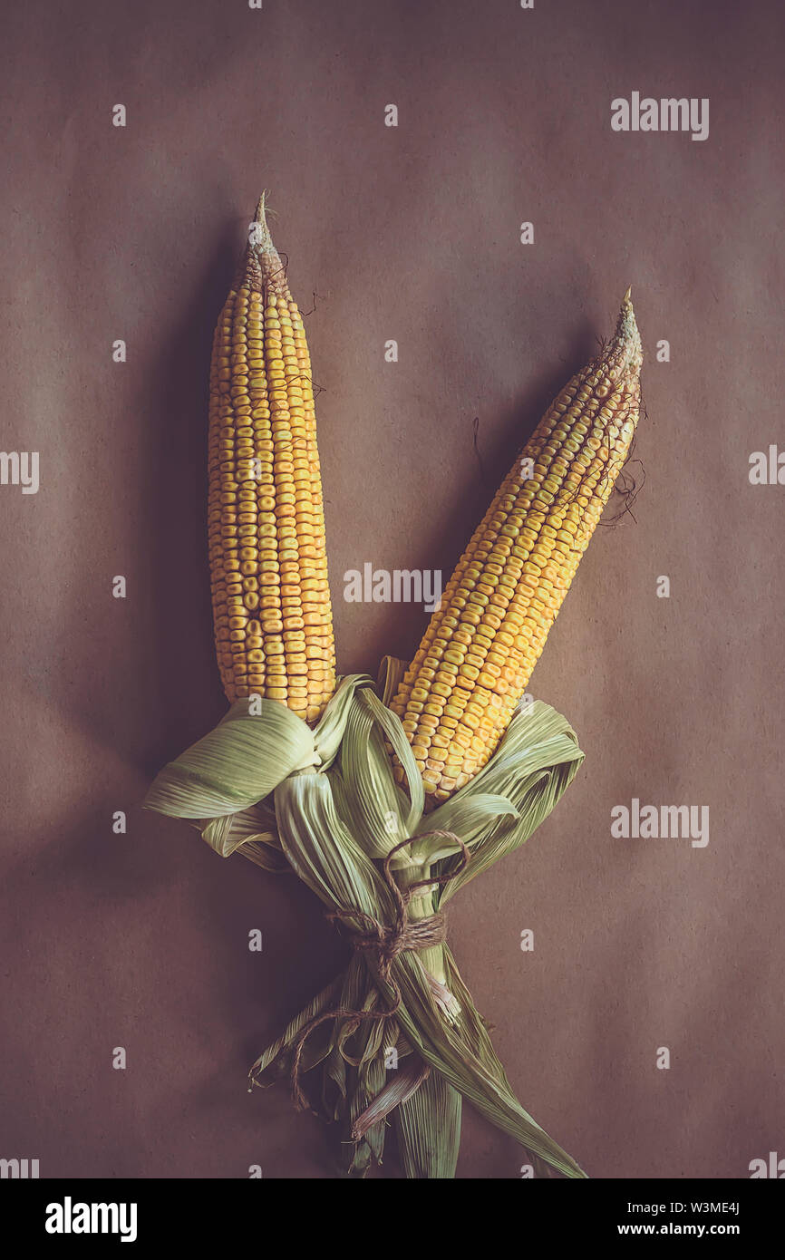 Corn bouquet on craft paper background. Bouquet made with partially ...