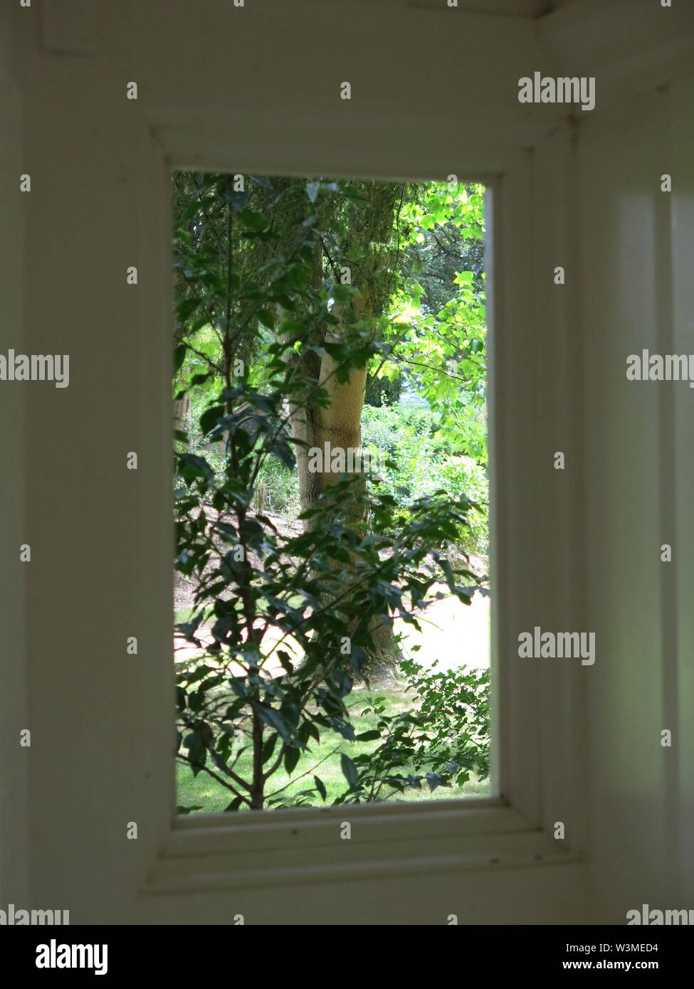 A white wooden window frames the view of the woodland outside in ...