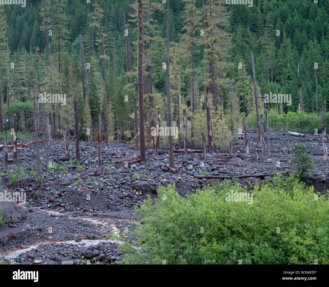 Tahoma creek hi-res stock photography and images - Alamy
