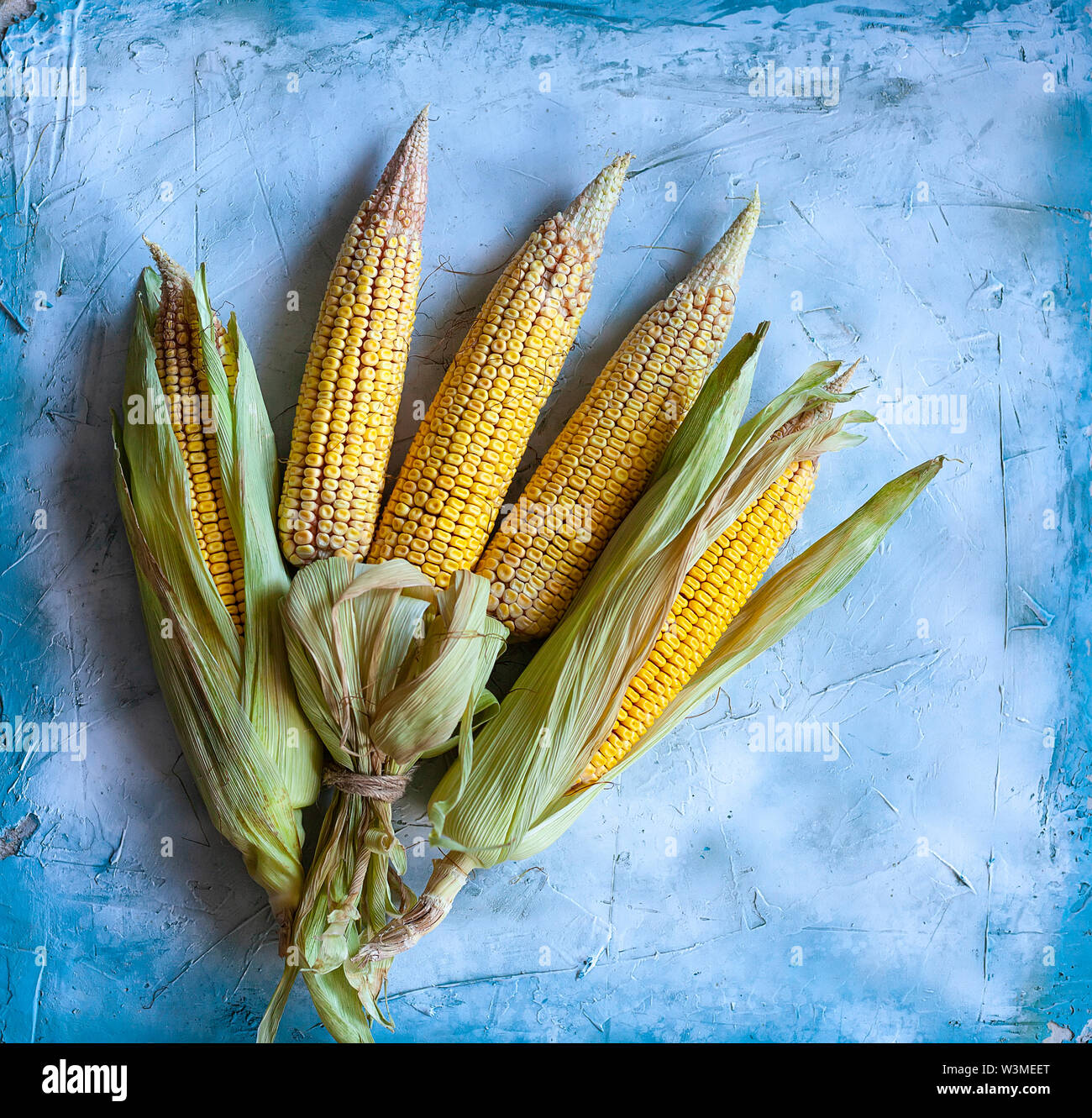 Corn bouquet on bright blue background. Bouquet made with partially ...