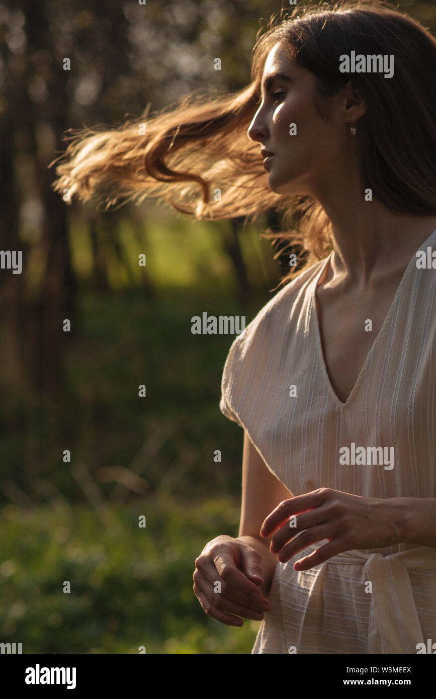 Windswept woman with brown hair Stock Photo - Alamy