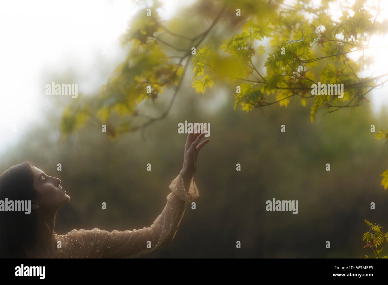 One arm reaching hi-res stock photography and images - Alamy