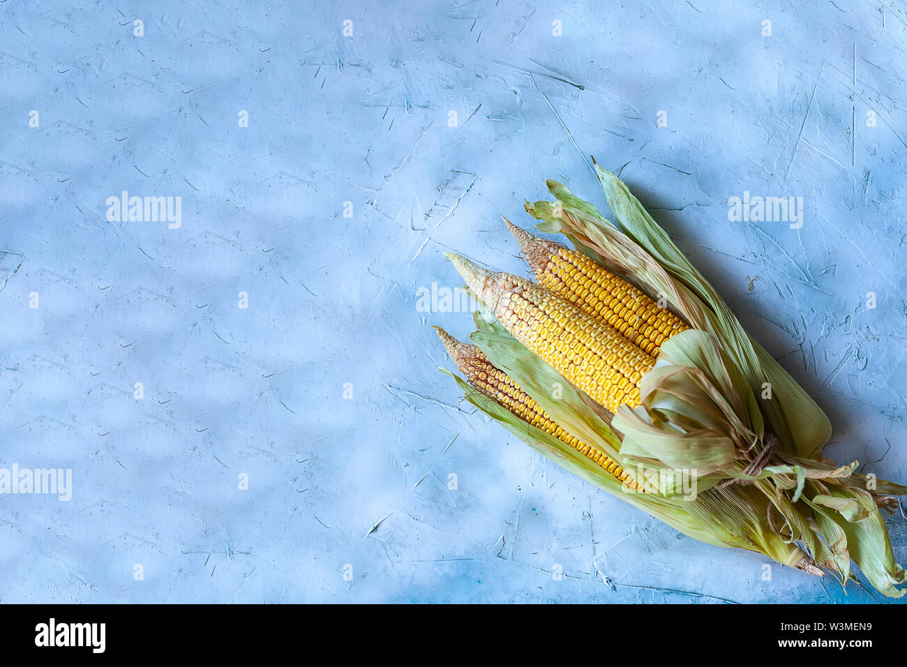 Corn bouquet on bright blue background. Bouquet made with partially ...