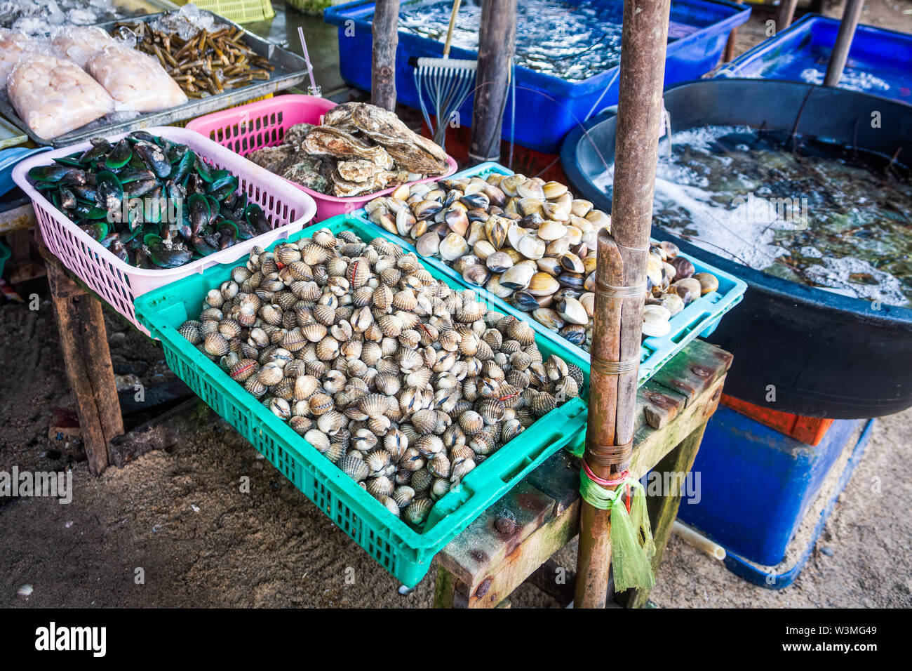 Thai bazaar with variety of fresh clams, mussels and shellfish in ...