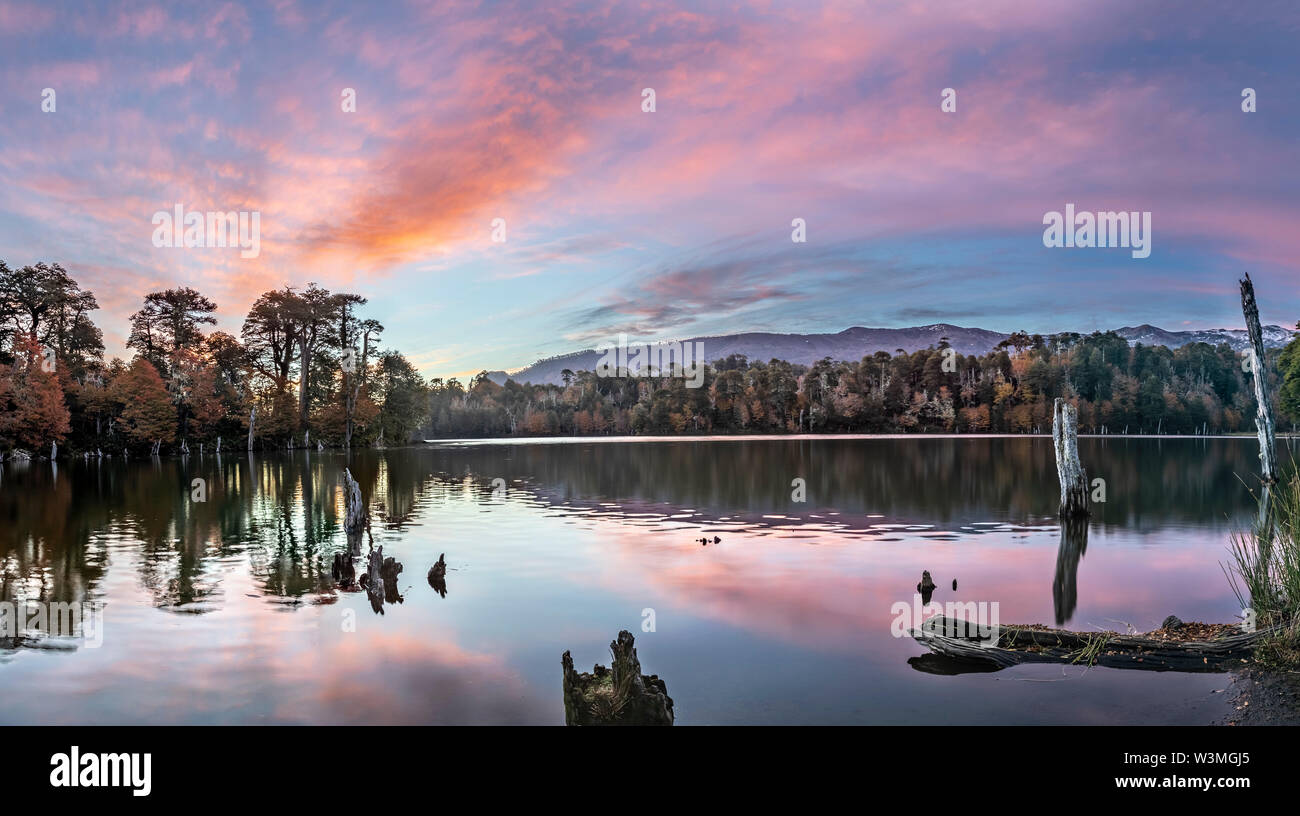 Autumn leaf color at Captren Lagoon during twilight on a cloudy day ...