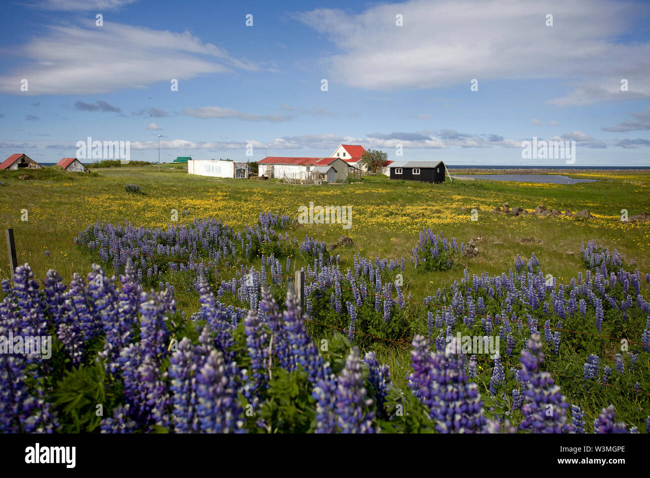 Typical red roofed icelandic farm in Sandgerdi, Iceland Stock Photo - Alamy
