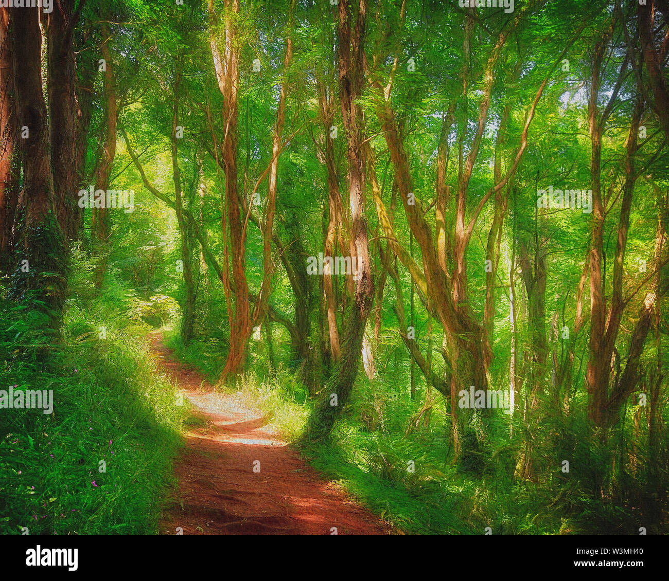 Watcombe beach woods hi-res stock photography and images - Alamy
