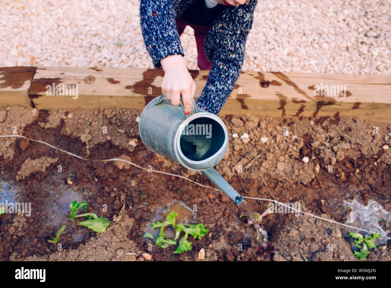 Girl using watering can hi-res stock photography and images - Alamy