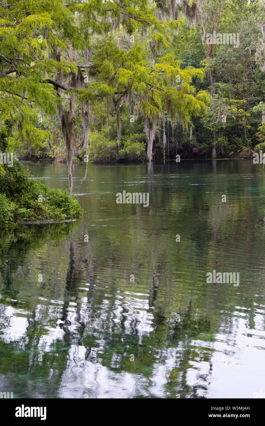 The Silver River at Silver Springs State Park, Ocala, Florida Stock ...