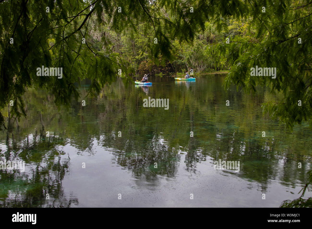 Kayaking on the Silver River in Silver Springs State Park, Florida ...